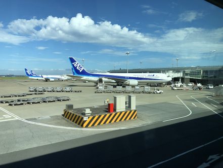 A guide to using points on ANA flights between Australia and Japan