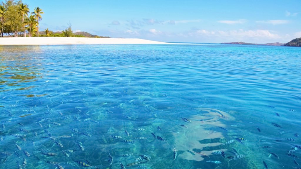 When is the best time to visit Fiji? - Point Hacks