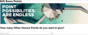 Buy Hilton Honors Points Guide - Point Hacks