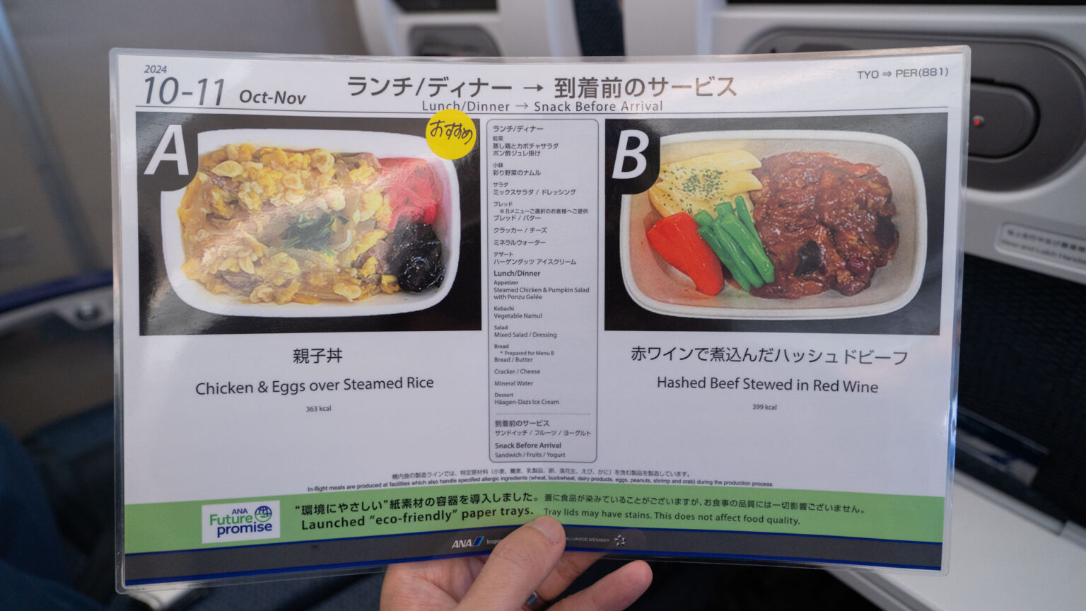 Review: ANA Boeing 787-9 Economy Class (Tokyo Narita – Perth) - Point Hacks